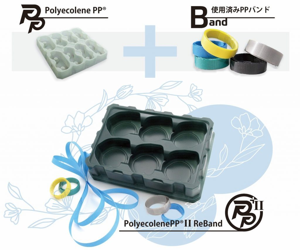 新商品のご案内「PolyecolenePP®Ⅱ ReBand」 - 和光紙器株式会社